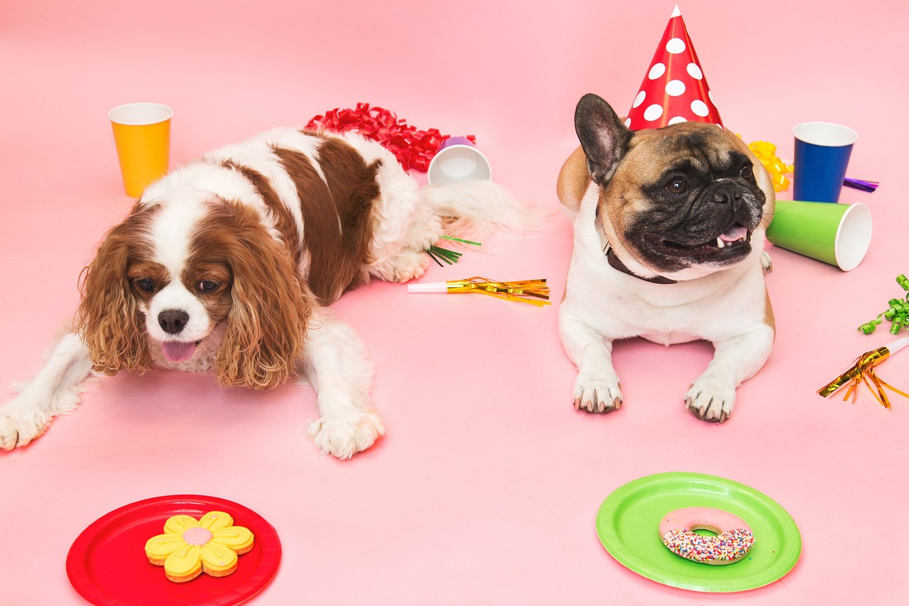 Embracing the Joy of Gotcha Day: 11 Ideas for Honoring the Unbreakable ...