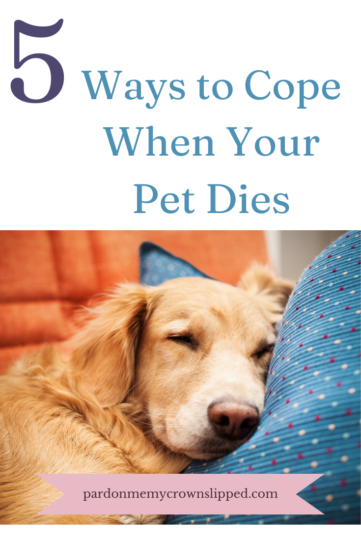 When Your Pet Dies: 5 Ways to Cope